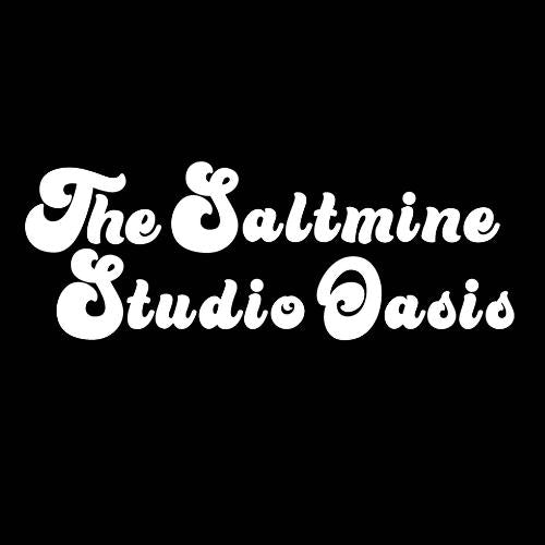 SALTMINE SESSIONS – The Saltmine Studio Oasis